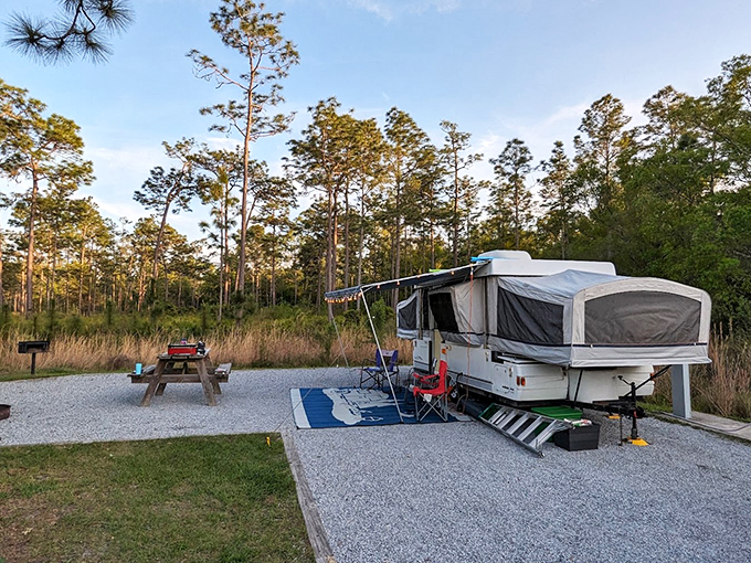 Glamping, Florida style! Who needs five stars when you've got a million overhead? Colt Creek's campground is nature's penthouse suite.