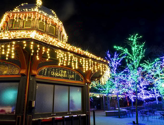 It's beginning to look a lot like Christmas&hellip; on steroids! This holiday light extravaganza puts your neighbor's decorations to shame.