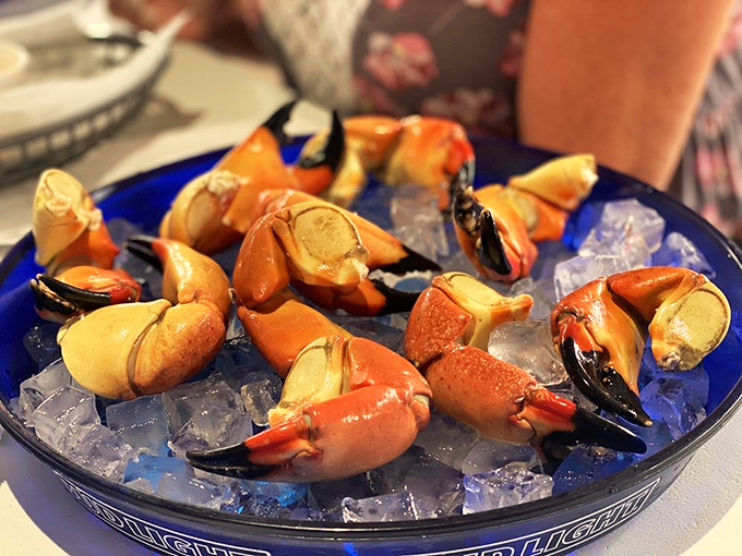 Stone crab claws: Florida's answer to lobster. These meaty morsels are worth every bit of cracking effort.