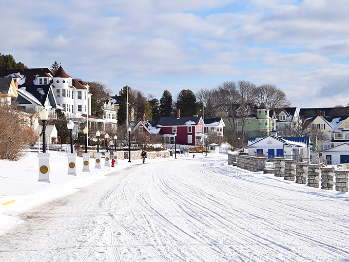 Lamp posts and snowdrifts: the unlikely duo creating the coziest winter scene this side of Narnia.