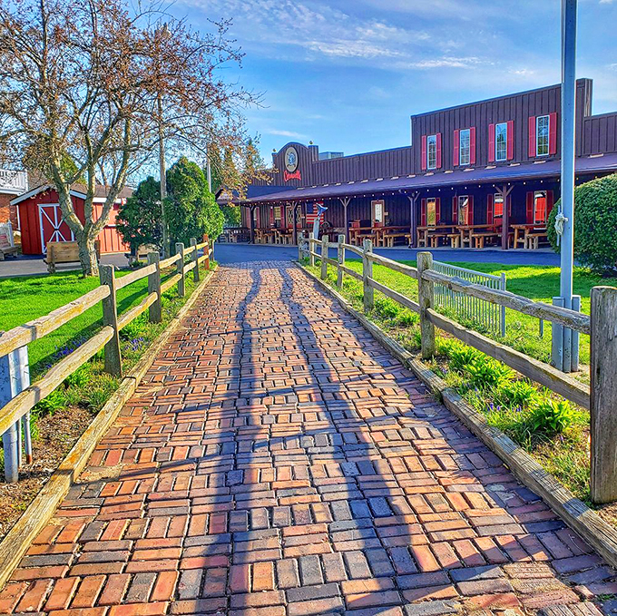 Where turkey dreams are hatched! These feathered friends are living their best lives before becoming the stars of your plate.