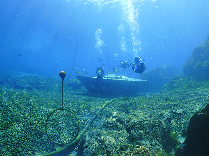 Underwater explorers unite! These divers are living out their Jacques Cousteau fantasies, minus the red beanie and French accent. Photo credit: Griff Gainnie