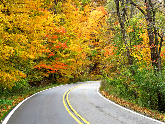 Curves ahead! This winding road is Mother Nature's way of saying, "Slow down and enjoy the view, lead foot!" Photo credit: Lars Jensen