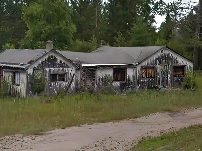 Pines' green takeover: Where trees reclaim their territory, one abandoned building at a time. Nature's revenge or cozy treehouse community? Photo credit: 99.1WFMK