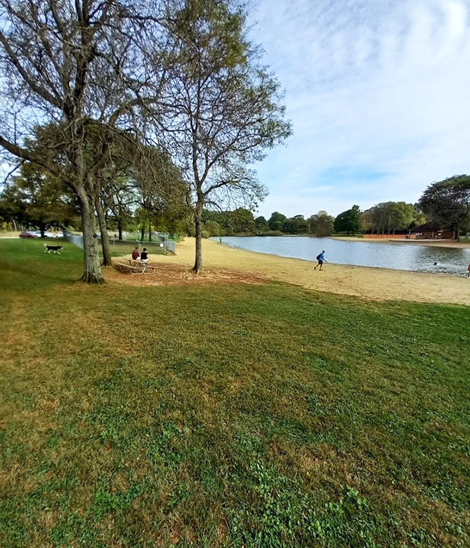 Doggy dreamland! This puppy playground is where four-legged friends come to live their best lives. Fetch happens!