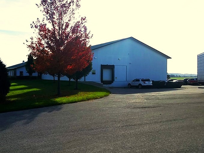 Green cheese that's out of this world! This eco-friendly factory proves that sustainability and flavor go hand in hand.