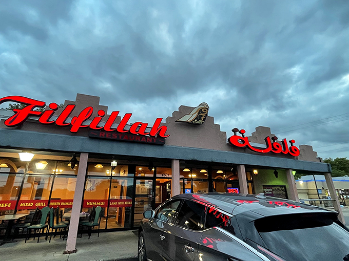 Where the neon sign is bright, but the flavors are even brighter. Middle Eastern magic in the heart of Minnesota!