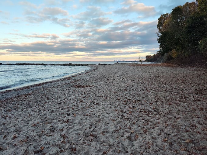 Trees frame a lakeside paradise. Nature's own beach umbrella provides shade for the perfect summer day. Photo credit: @KeepLifeSimpleUSA