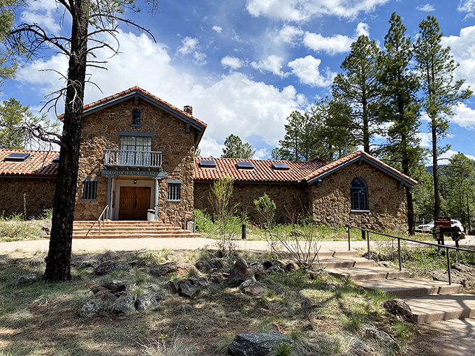 Fossils and artifacts galore! This Flagstaff museum is like 'Night at the Museum' without the chaos.