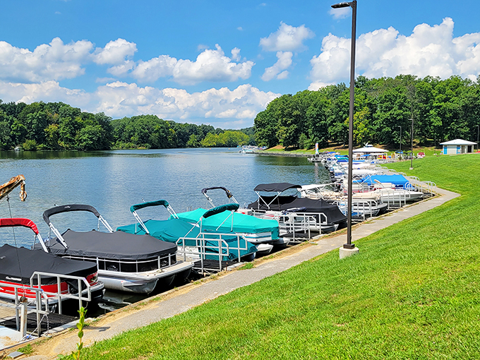 Sail away! Rocky Fork's breezy waters are a windsurfer's delight and a sailor's paradise. 