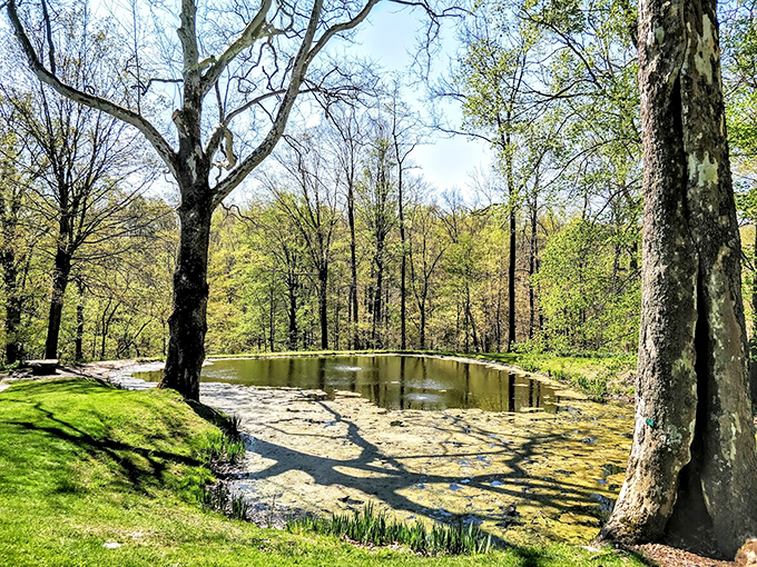 Tree hugger's paradise! With 17,000 labeled plants, it's like a living encyclopedia for wood enthusiasts. Leaf through at your leisure!