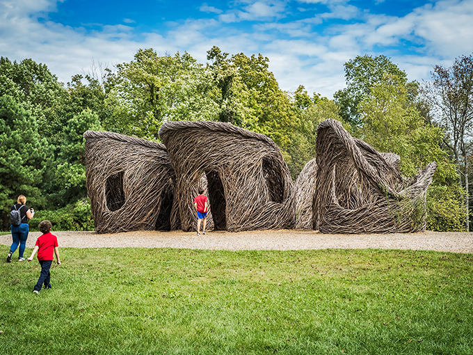 Walk among the treetops without having to channel your inner Tarzan. No vine-swinging skills required! 