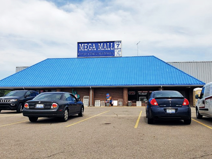 The Mega Mall: where "big box store" meets "grandma's attic." It's a treasure hunter's paradise under one blue roof!