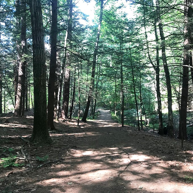 Vaughan Woods' serene trails: Where every step feels like you're walking through a storybook. Once upon a time in Maine&hellip;