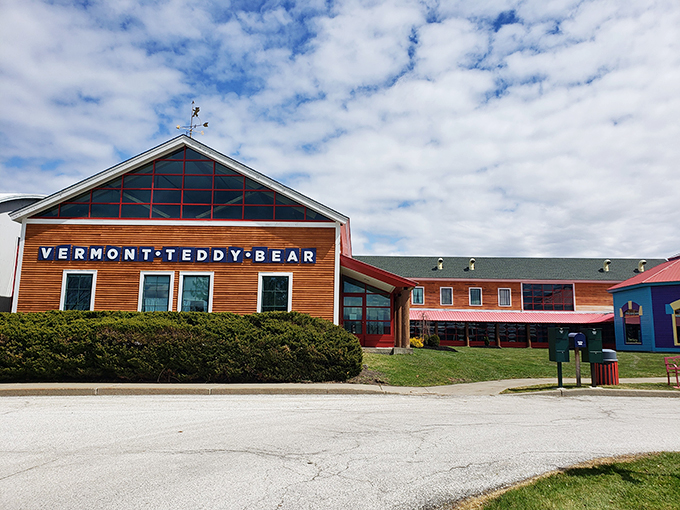 Beary exciting times ahead! Where teddy bears are born and childhood dreams come stuffed with love.