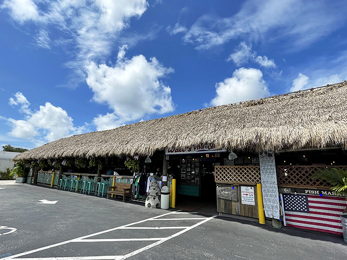 Walt's Fish Market: Sarasota's seafood time machine! Step back into Old Florida charm, where the fish is fresh and the stories are even fresher.