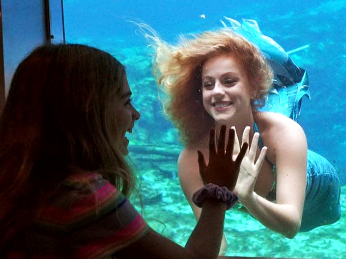 Ariel's got nothing on these aquatic acrobats! Dive into a world where fairy tales come to life.