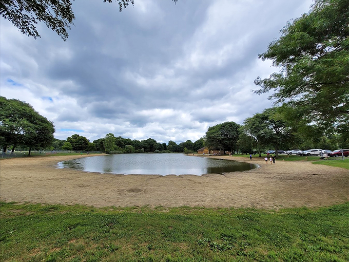 Canine Camelot! Where every dog is king of the castle (or at least king of the sandcastle). Time to let the fur fly!