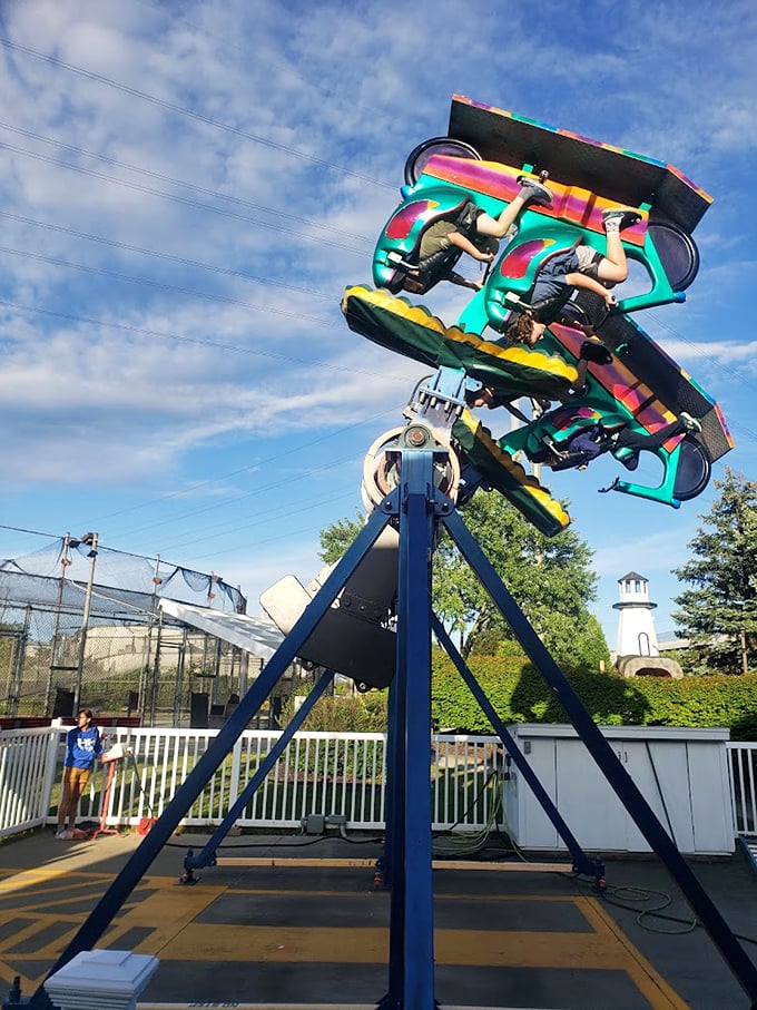 Roll with it! This skating rink is smoother than my attempts at using modern slang. Totally rad, dude!