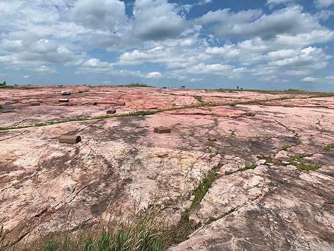 Stone-age storytelling at its finest! Proof that our ancestors were leaving their mark long before Instagram and TikTok came along. Photo credit: Steven Joswiak