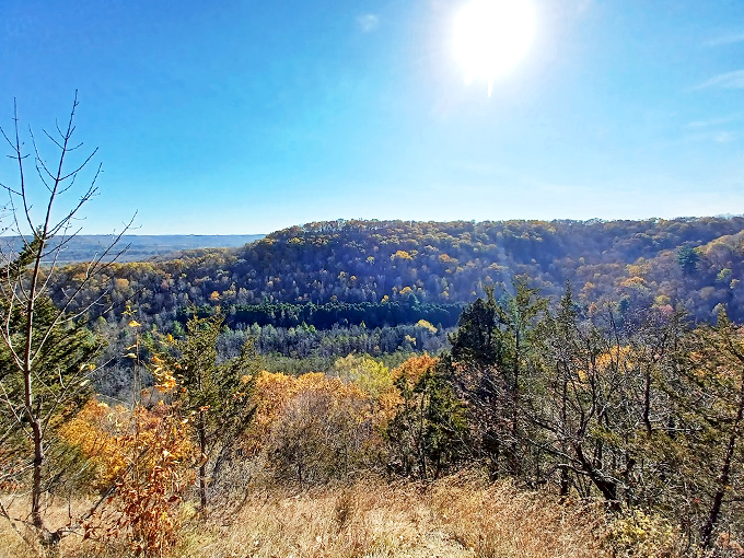 Forget the gym! Paddle the Kickapoo for an upper body workout with scenery that beats any TV on a treadmill.