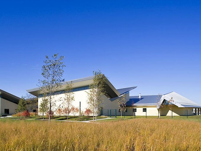 Play vet, chef, or interior designer - all without the student loans! It's career day meets playtime.