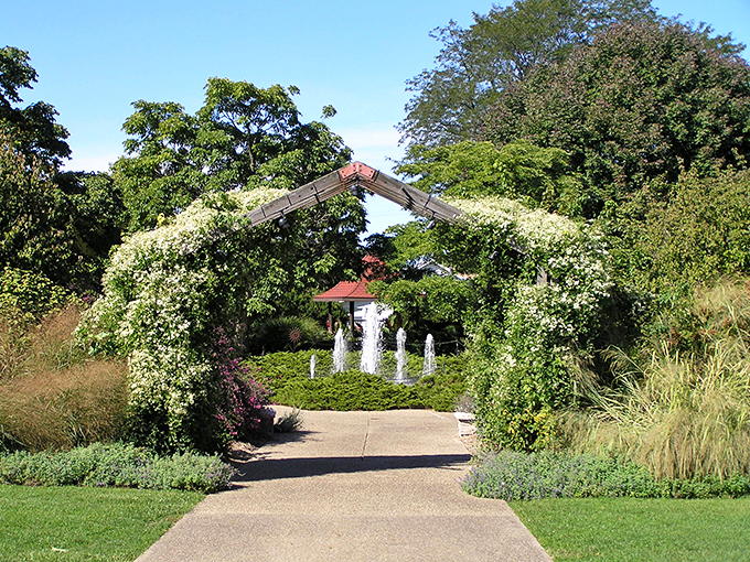 Talk about your fantasy football! This field of blooms is scoring touchdowns in the game of garden design. Photo credit: Luthy Botanical Garden