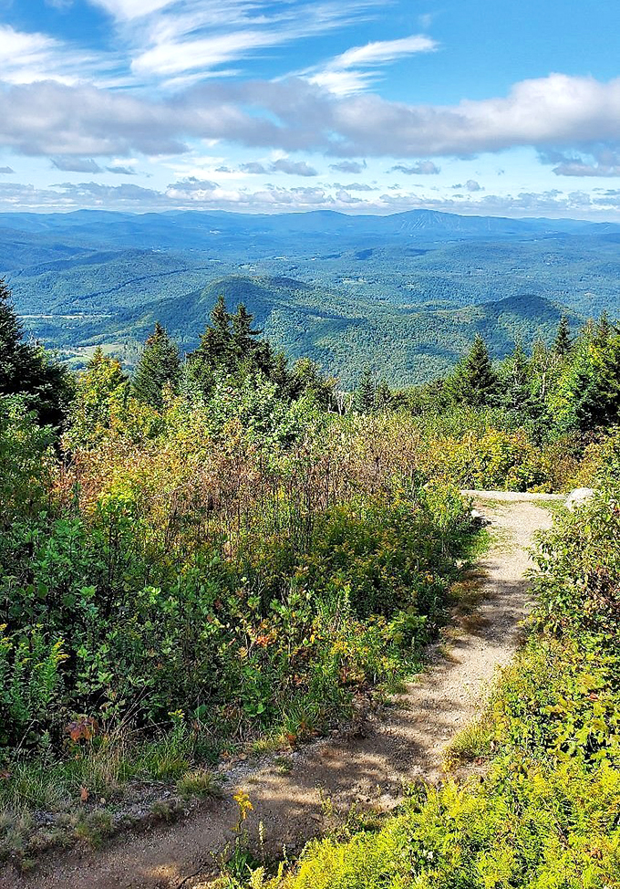 Summit views so good, you'll want to plant a flag and claim the mountain for yourself. (Please don't.)