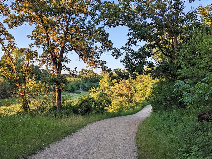 A hidden oasis of tumbling waters and lush greenery. It's like stumbling into a real-life fairytale, minus the talking animals.