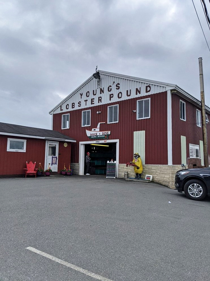 Rain or shine, it's always lobster time at Young's. This red beacon of deliciousness stands ready to satisfy your seafood cravings.