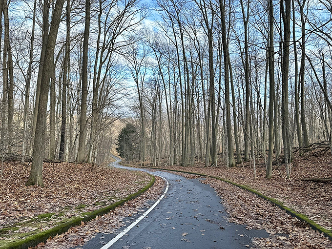Autumn's grand finale! The trees put on a show that rivals Broadway, with colors so vibrant they'll make your eyes pop.