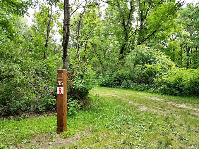 "Follow the wooden brick road." This trail marker might not lead to Oz, but it promises an adventure worthy of Dorothy and Toto.