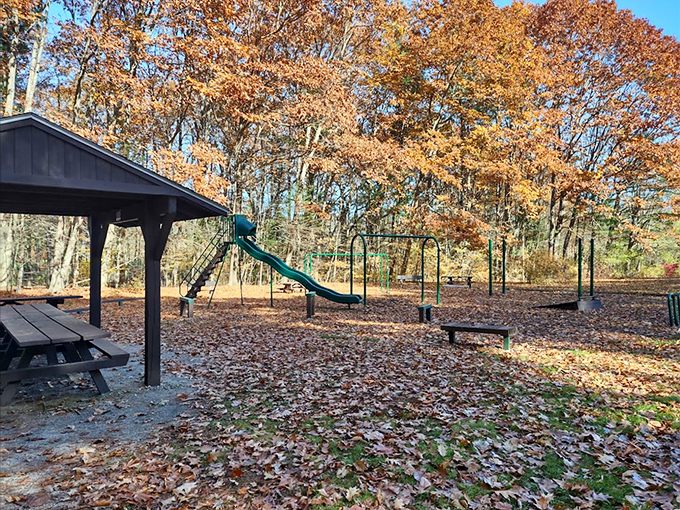 A playground where the trees are your jungle gym? Childhood dreams, meet adult realities.
