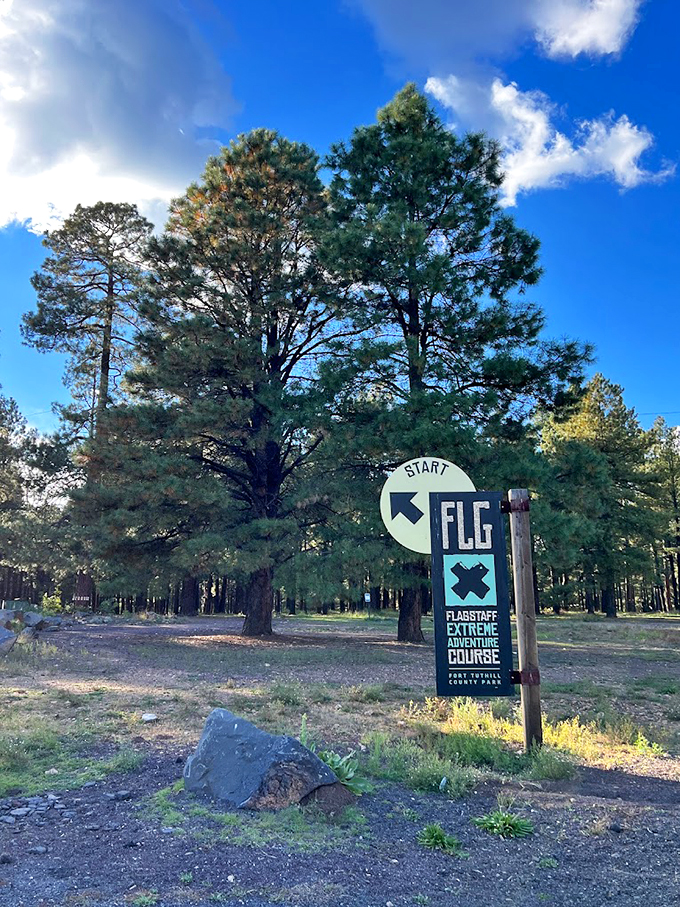 Your journey begins here! This sign marks the start of your treetop odyssey. Time to channel your inner Tarzan (or Jane).