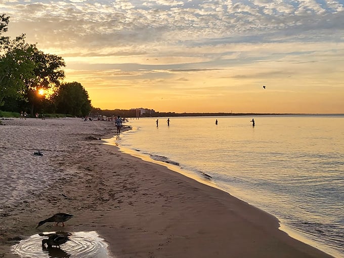 Golden hour glory: This sunset scene is so beautiful, it might just make you forget about your smartphone for a whole minute.