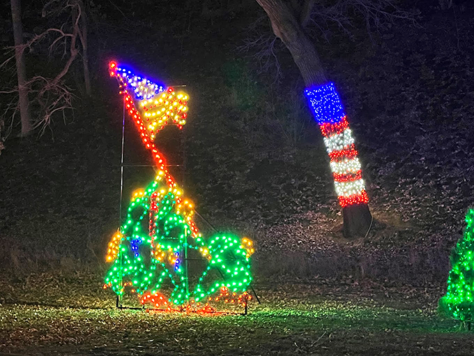 Old Glory gets a glamorous makeover! This patriotic light display proves that stars and stripes look even better with a festive twinkle.