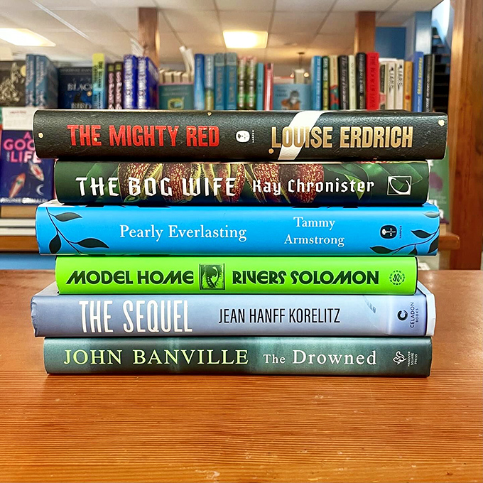 New releases hot off the press! These literary newcomers are vying for your attention like eager puppies at the shelter &ndash; each one promising to be your new best friend.