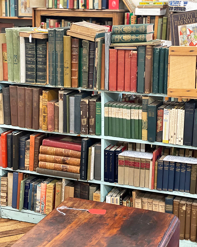 Literary time capsules line these shelves, their leather spines telling stories before you even crack them open.