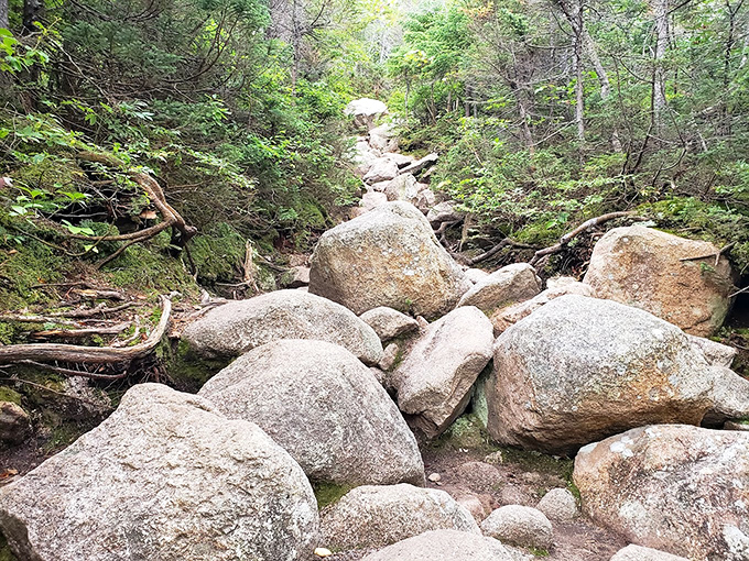 These boulders look like nature's building blocks, scattered by giants who got distracted during their game of chess.