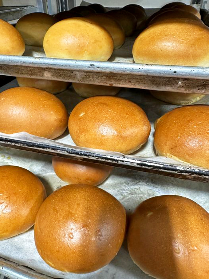 Round, golden, and oh-so-inviting, this bun is the unsung hero of Klinger's sandwich lineup. It's not just a bun, it's a warm hug for your fillings.