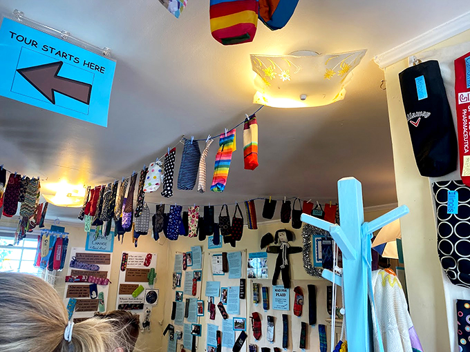 Looking up reveals a rainbow of forgotten fabric friends, strung across the ceiling like festive bunting at the world's quirkiest party. 