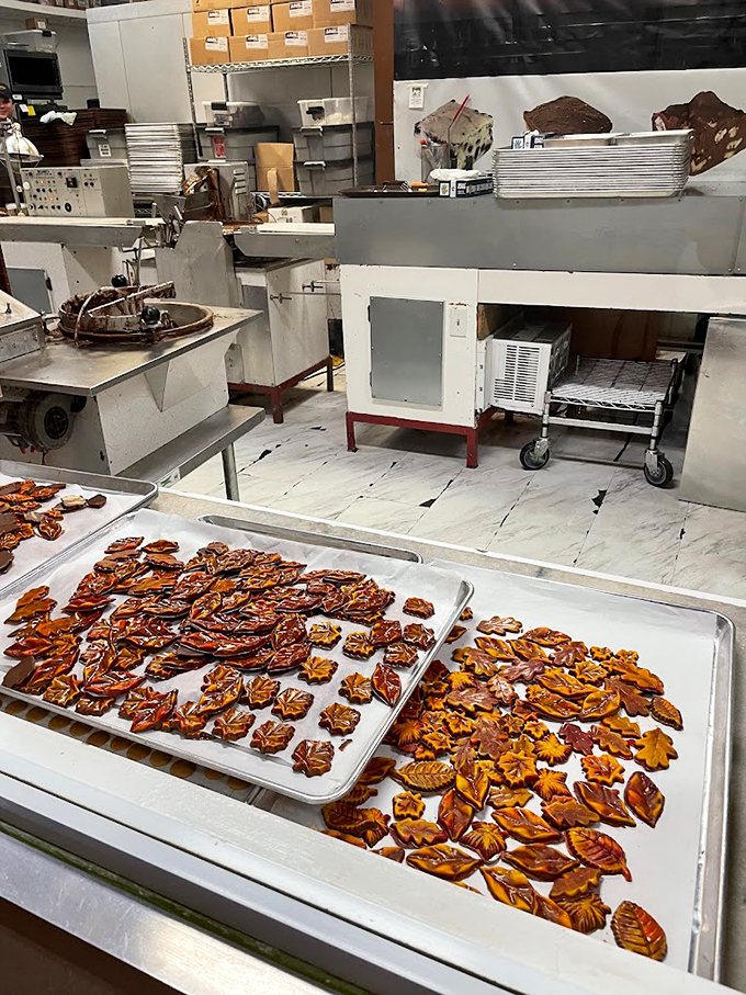 Chocolate Trays Autumn leaves or chocolate treats? These maple-shaped morsels are Florida's answer to fall foliage&mdash;edible and irresistible!