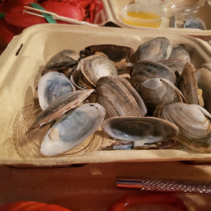 Fresh clams nestled together like precious pearls, waiting to transform into someone's seafood dreams. Photo credit: Star Cooper
