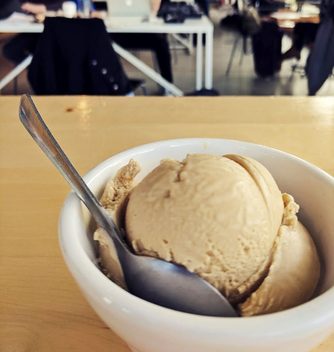 Simple, creamy, and elegant - this scoop of vanilla proves sometimes the classics are classic for a reason.