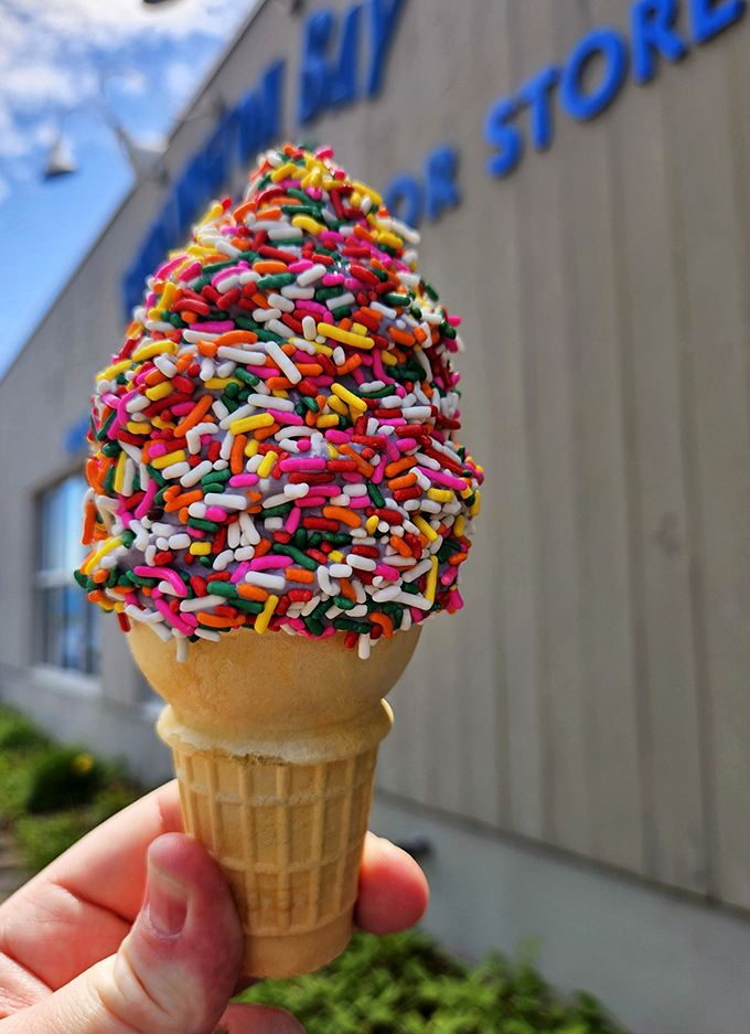 A rainbow you can eat! This sprinkle-covered creemee is like a party hat for your taste buds.