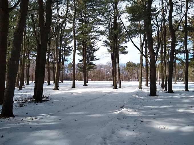 Where the snow transforms the landscape into a scene so serene, you'll forget you're freezing your toes off.