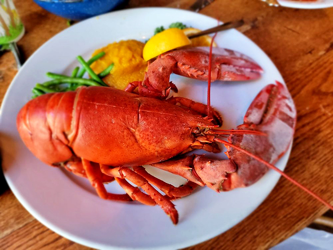 A perfectly steamed Maine lobster commands attention like a crimson king, complete with royal accompaniments of corn and green beans.