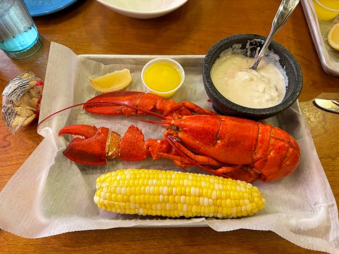 The ultimate Maine feast: a perfectly steamed lobster accompanied by sweet corn and drawn butter &ndash; summer on a plate. Photo credit: Kevin O'Brien