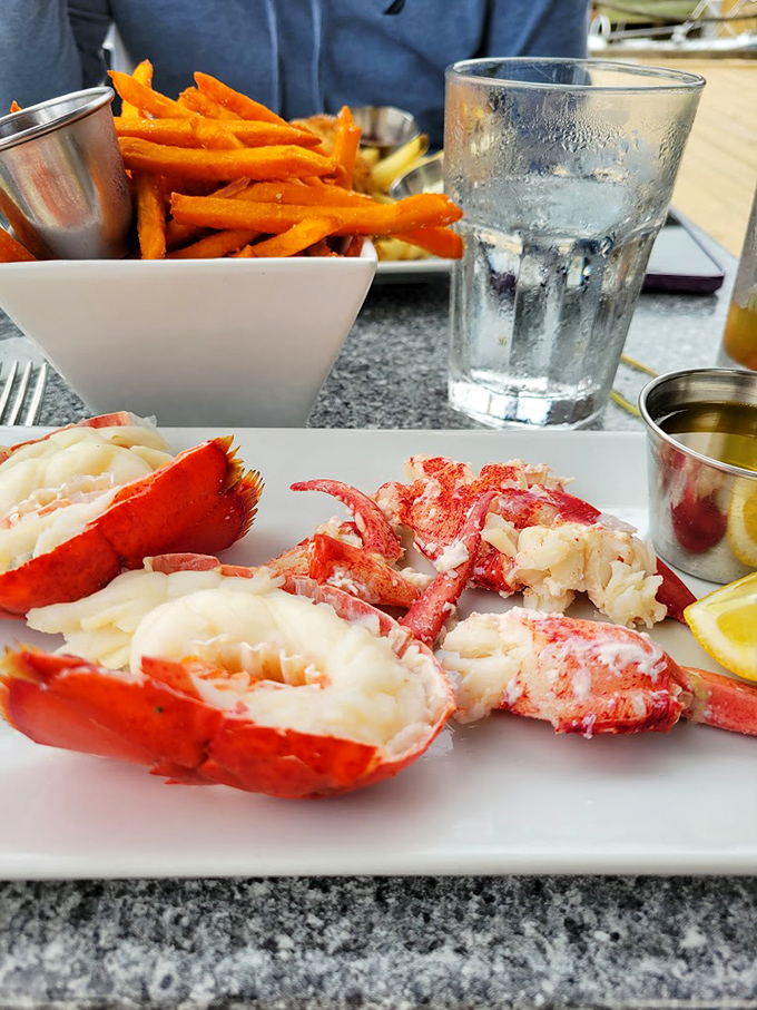 A perfectly steamed Maine lobster shows off its summer-red splendor, ready for its delicious close-up.