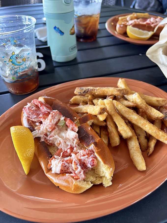 A classic New England duo: tender lobster dressed to impress, with crispy fries standing guard on the side. 